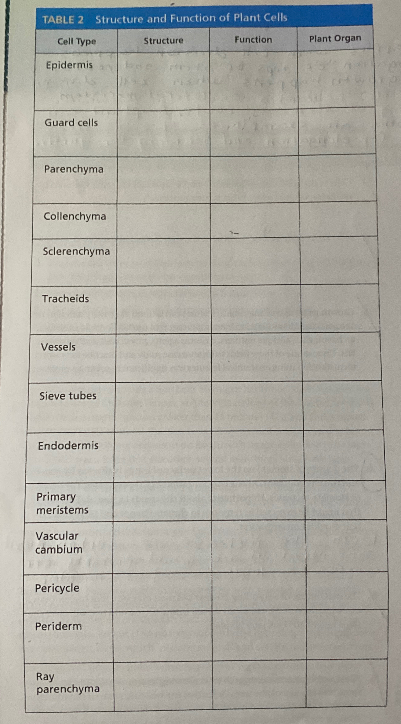 Solved TABLE 2 ﻿Structure and Function of Plant | Chegg.com