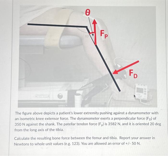 Solved The figure above depicts a patient's lower extremity | Chegg.com