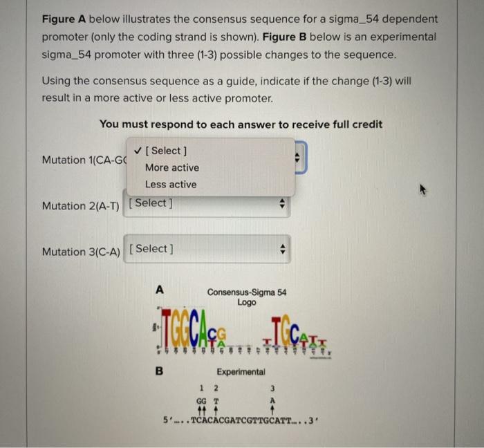 Solved Figure A below illustrates the consensus sequence for | Chegg.com