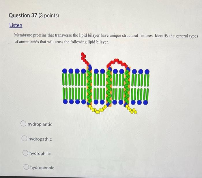 Solved Which of the following Hawthorn structures is correct | Chegg.com