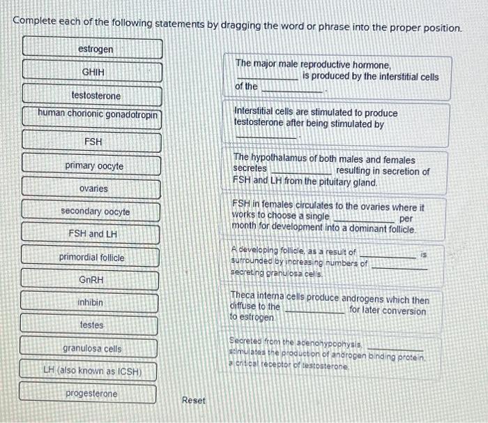 Solved Complete each of the following statements by dragging | Chegg.com