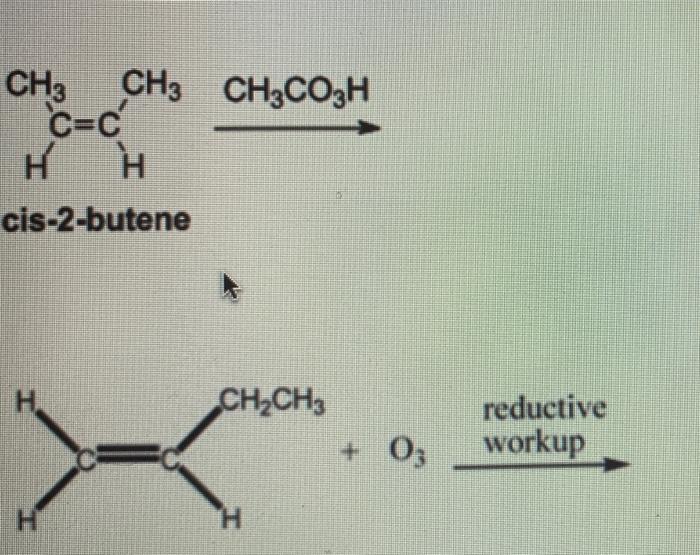 Solved CH3 CH3CO3H CH, C=c H н cis-2-butene H CH2CH3 | Chegg.com