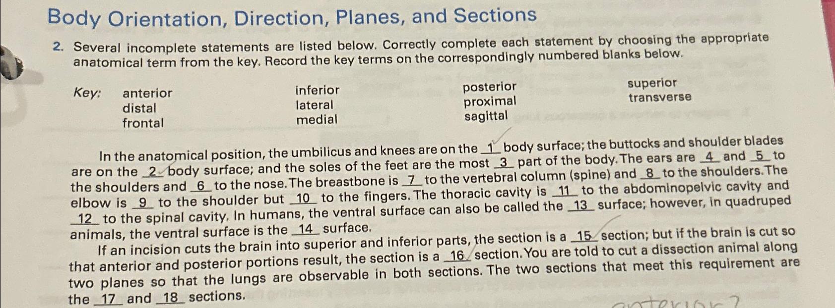 Solved Body Orientation, Direction, Planes, and Sections2. | Chegg.com