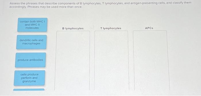 Solved Assess the phrases that describe components of B | Chegg.com