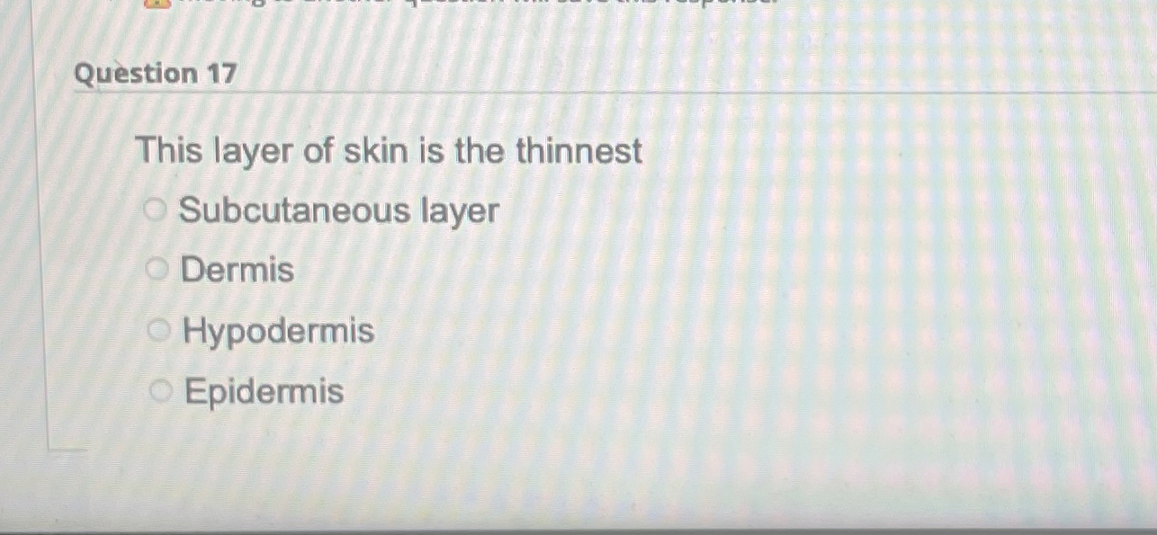 Solved Question 17This layer of skin is the | Chegg.com