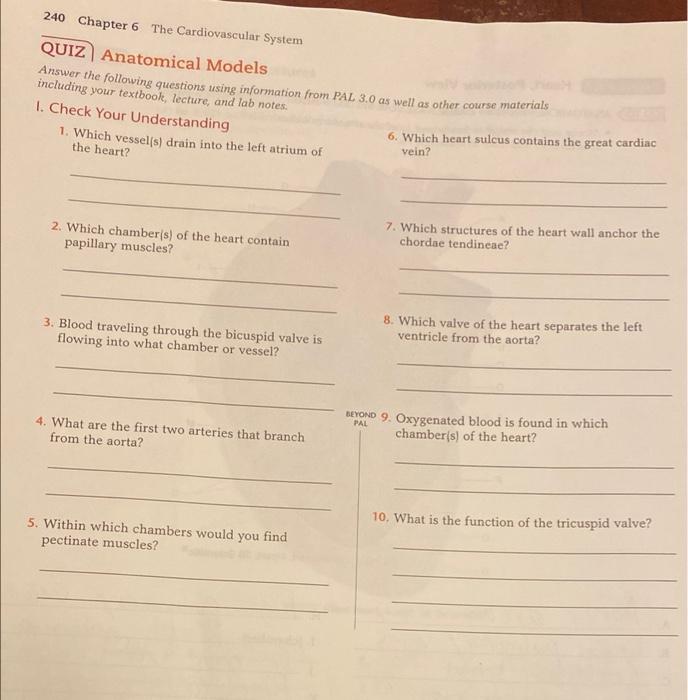 Solved 240 Chapter 6 The Cardiovascular System QUIZ | Chegg.com