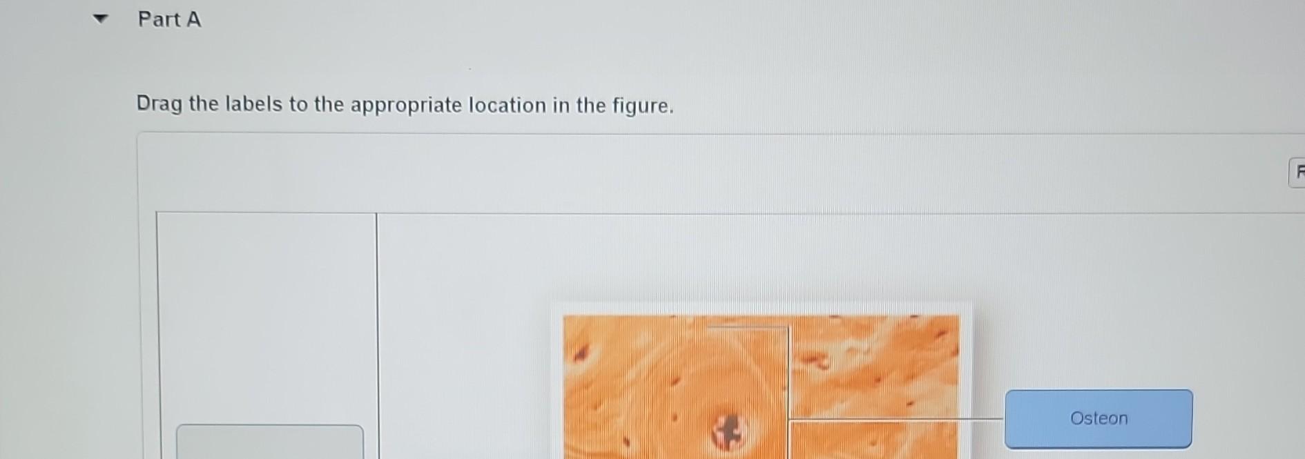 Drag the labels to the appropriate location in the | Chegg.com