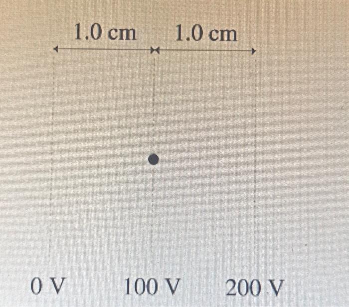 Solved 1.0 cm×1.0 cmWhat is the magnitude of the electric | Chegg.com