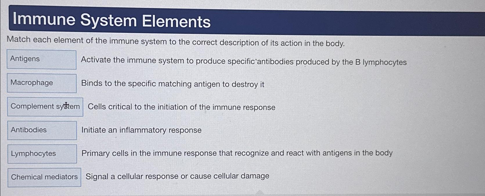 Solved Immune System ElementsMatch each element of the | Chegg.com