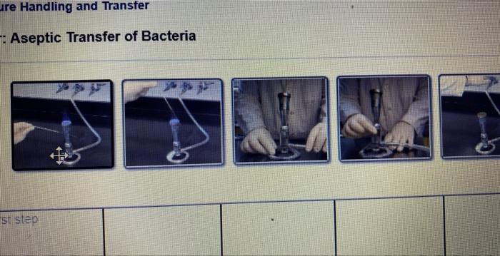 Solved MicroLab Tutor: Aseptic Transfer of Bacteria Arrange | Chegg.com