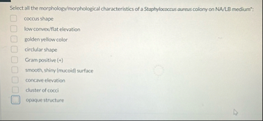 Solved Select all the morphology/morphological | Chegg.com