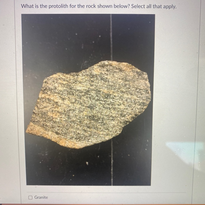 Solved What is the protolith for the rock shown below? | Chegg.com
