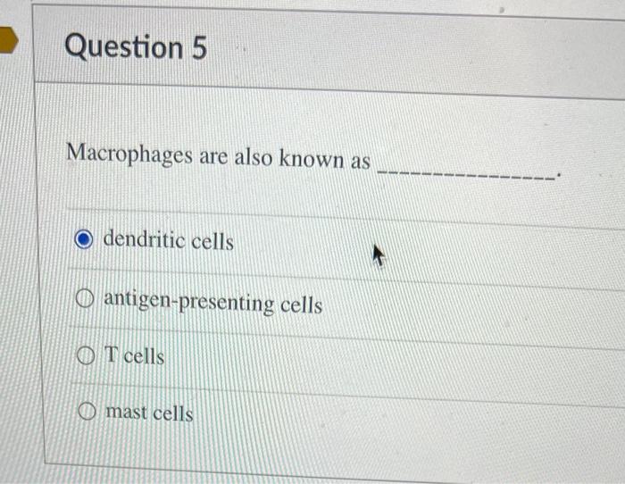 Solved Macrophages are also known as dendritic cells | Chegg.com