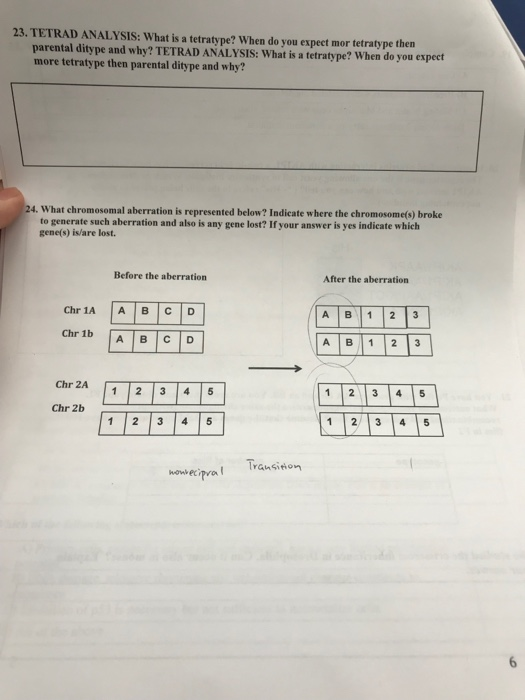 Solved 23. TETRAD ANALYSIS: What is a tetratype? When do you | Chegg.com