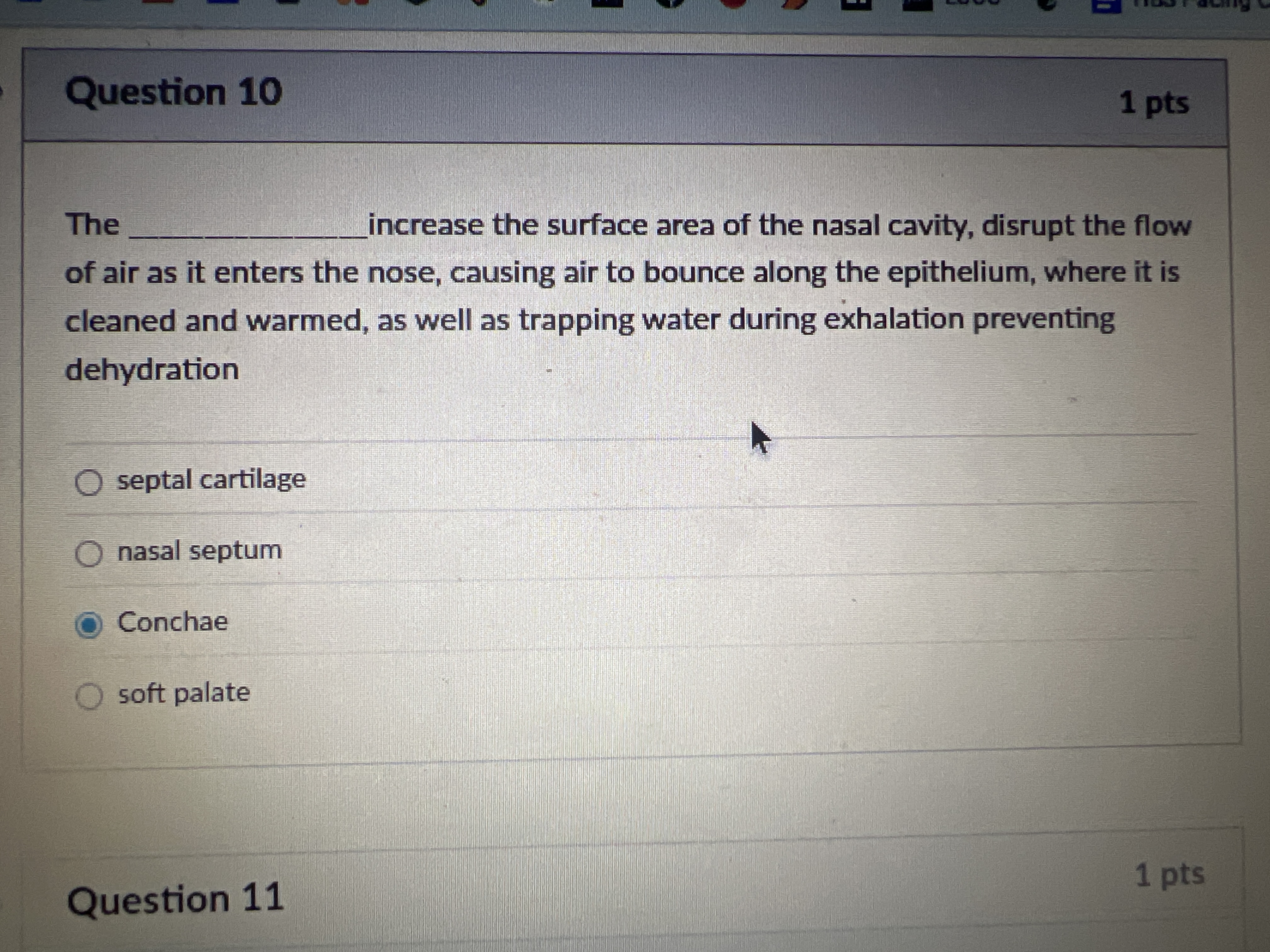 Solved The increase the surface area of the nasal cavity, | Chegg.com
