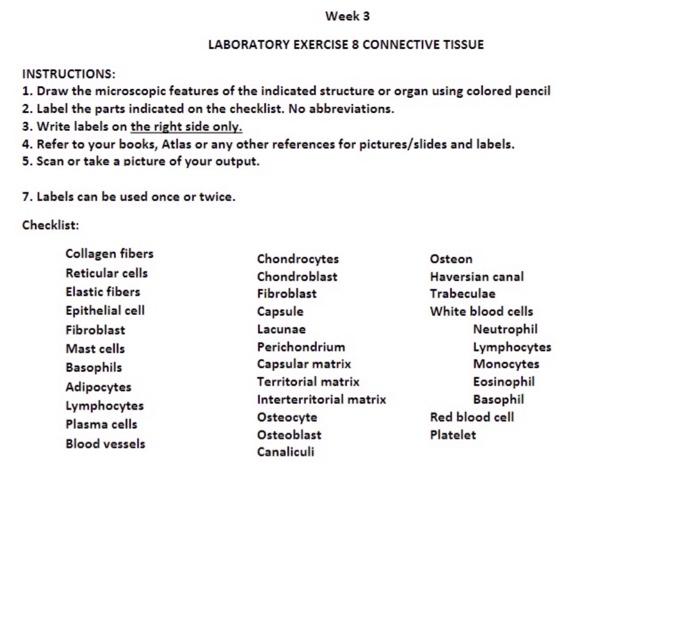 Solved Week 3 LABORATORY EXERCISE 8 CONNECTIVE TISSUE | Chegg.com