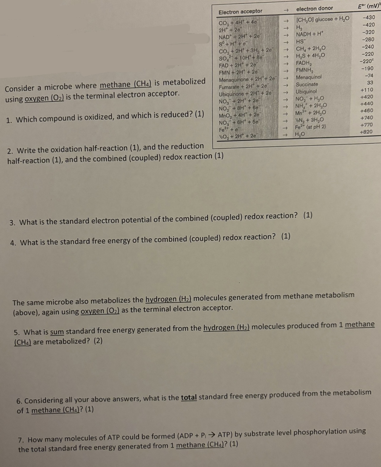 Solved Can anyone help by showing the steps of how to do | Chegg.com