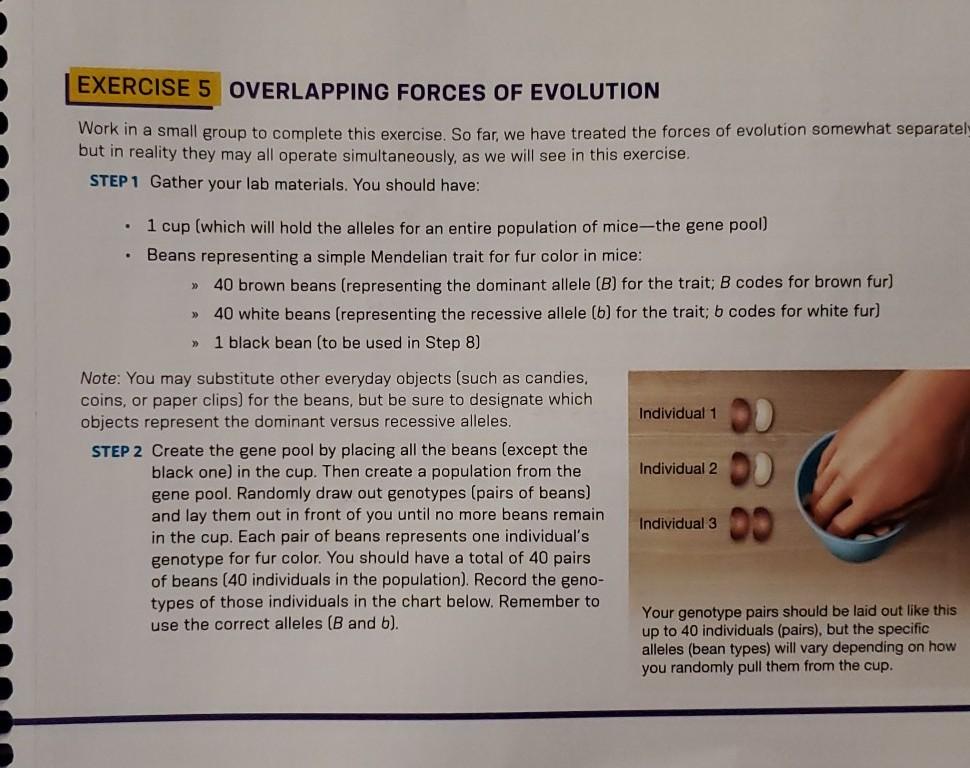 Solved EXERCISE 5 OVERLAPPING FORCES OF EVOLUTION Work in a | Chegg.com