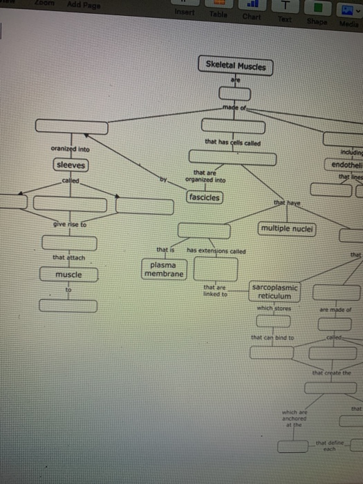 Skeletal Muscles Complete the Concept Map on the | Chegg.com