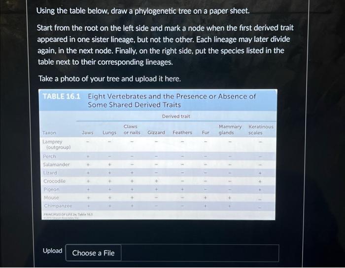 Solved Using the table below, draw a phylogenetic tree on a | Chegg.com