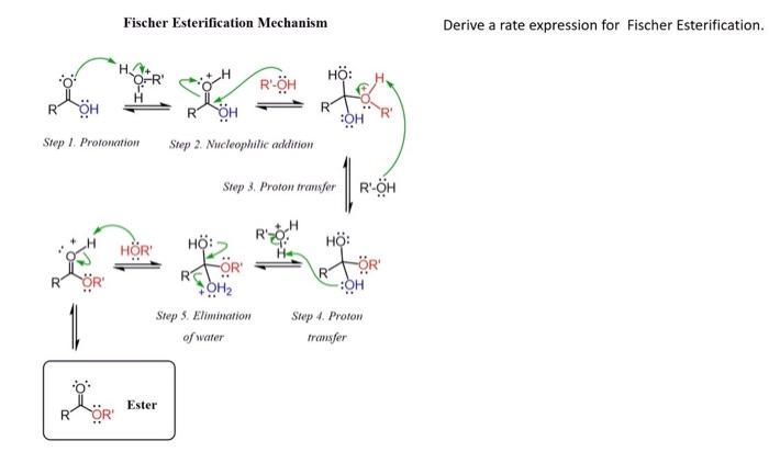 Solved Fischer Esterification Mechanism Derive a rate | Chegg.com