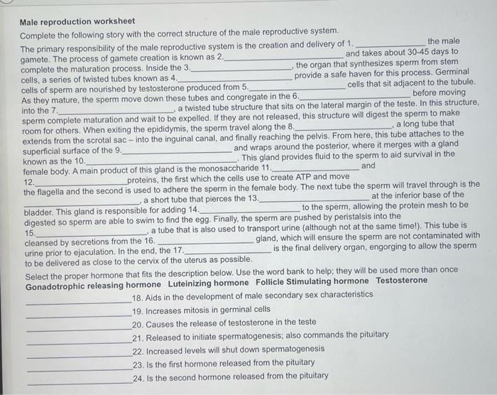 Solved Male reproduction worksheet Complete the following | Chegg.com