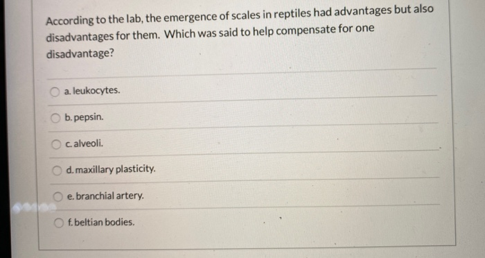 Solved According to the lab, the emergence of scales in | Chegg.com