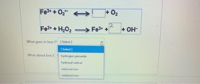 Solved Fe3+ + O2 → +0₂ 2 Fe2+ + H2O2 -> Fe3+ + + OH- What | Chegg.com
