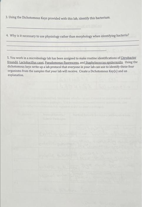 Lab #7 - UNKNOWN - Virtual API 20E lab Traite Using | Chegg.com
