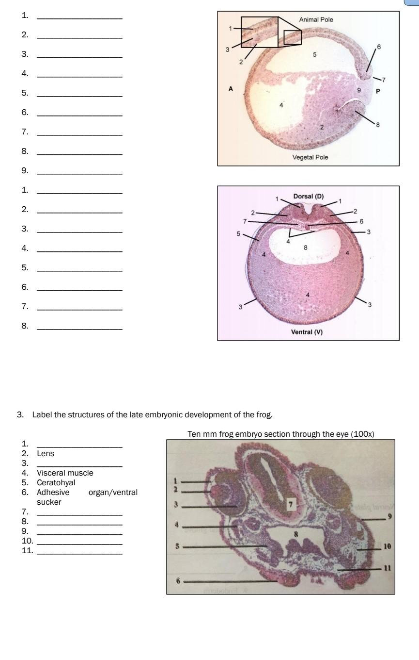 Solved 1. 2. 3. 4. 5. 6. 7. 8. 9. 1. 2. 3. 4. 5. 6. 7. 8. 3. | Chegg.com