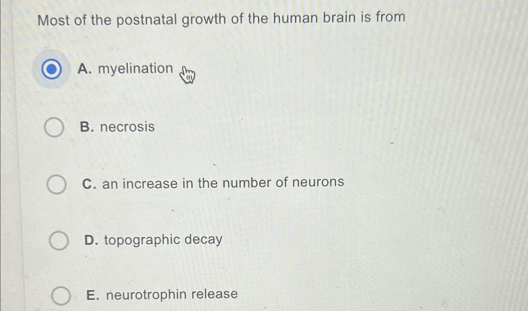 Solved Most of the postnatal growth of the human brain is | Chegg.com