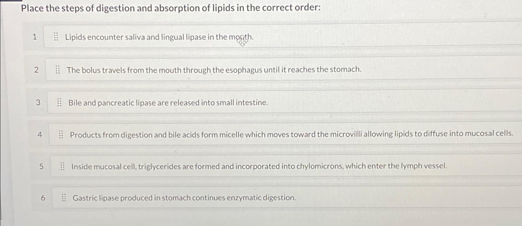 Solved Place the steps of digestion and absorption of lipids | Chegg.com