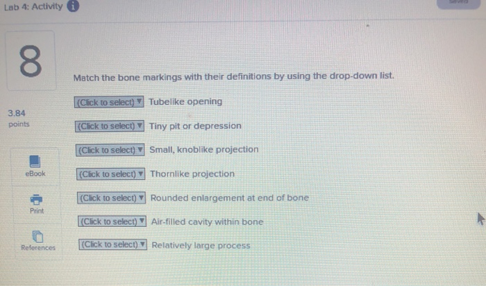 Lab 4: Activity i Match the bone markings with their | Chegg.com
