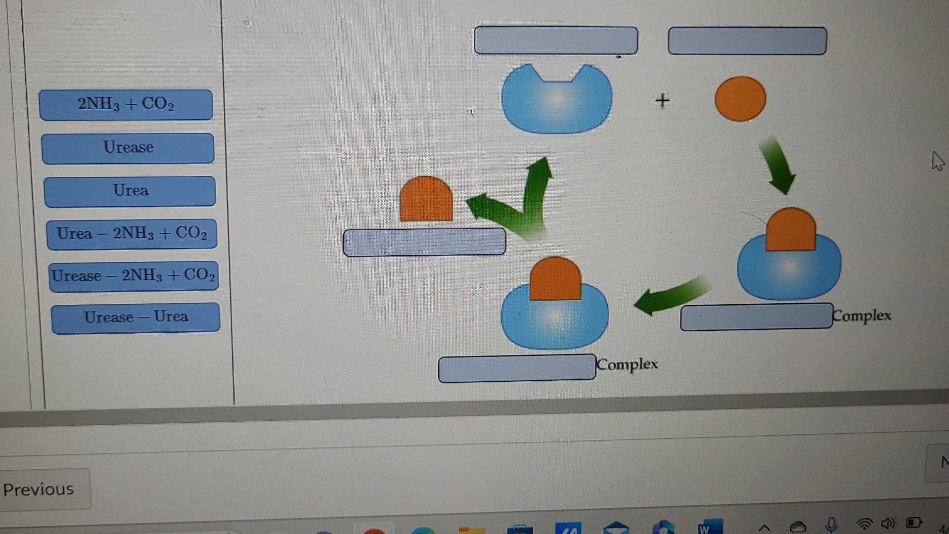 Solved The general enzymatic reaction The general | Chegg.com