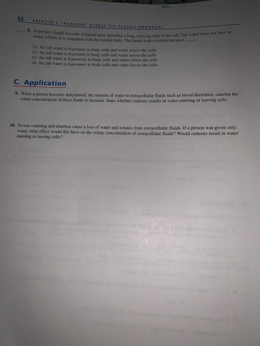 Solved Name Date Section Reviewing Your Knowledge EXERCISE 5 | Chegg.com
