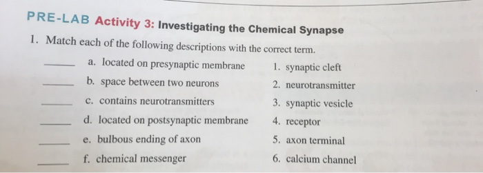 Solved PRE-LAB Activity 3: Investigating the Chemical | Chegg.com Solved PRE-LAB Activity 3: Investigating the Chemical | Chegg.com