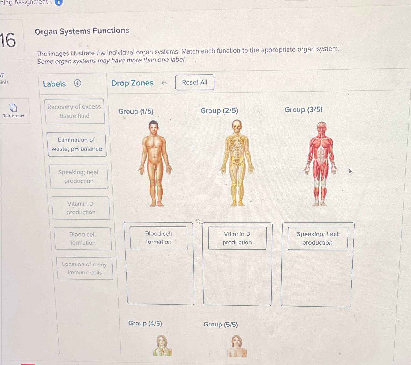 Solved Organ Systems FunctionsThe Images Illustrate The Chegg