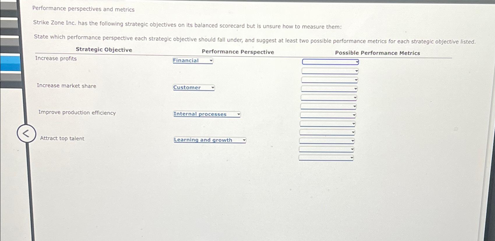 Solved Performance perspectives and metricsStrike Zone Inc. | Chegg.com