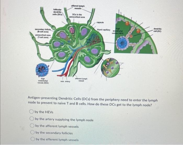 Solved This quote is from the pathophysiology textbook that | Chegg.com