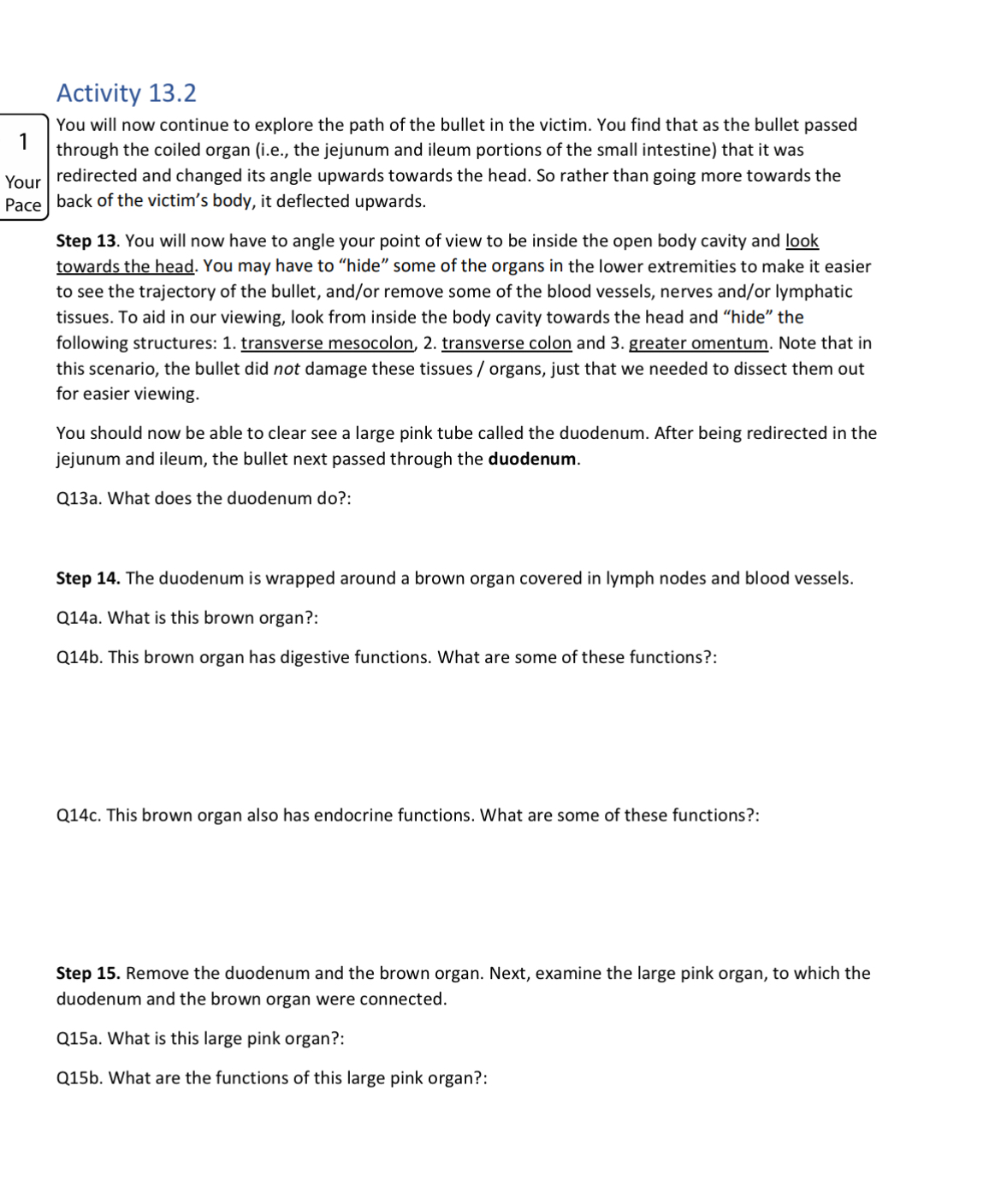 Solved Activity 13.2You will now continue to explore the | Chegg.com