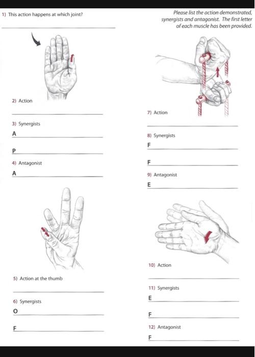 Solved 1) This action happens at which joint? Please list | Chegg.com
