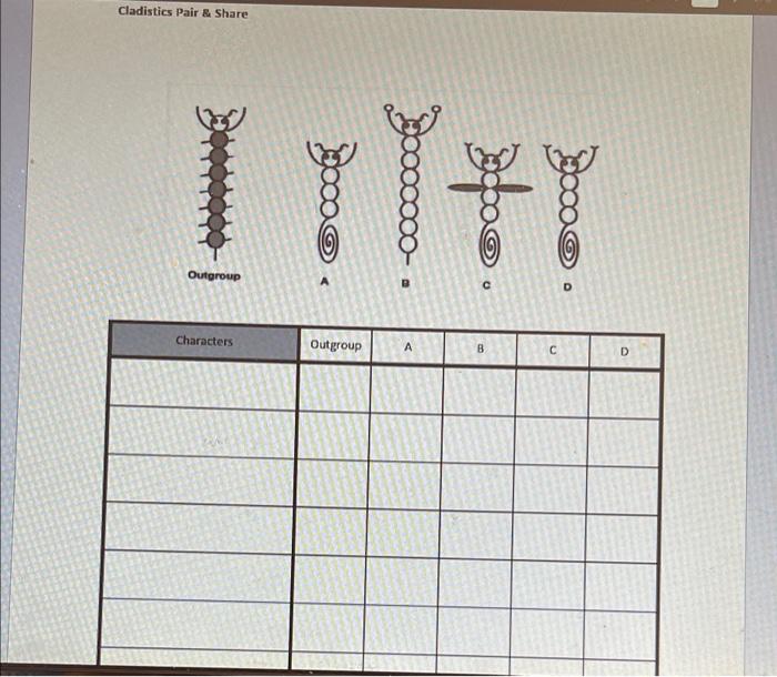 Solved Understanding How to Build Phylogenetic Trees Using | Chegg.com