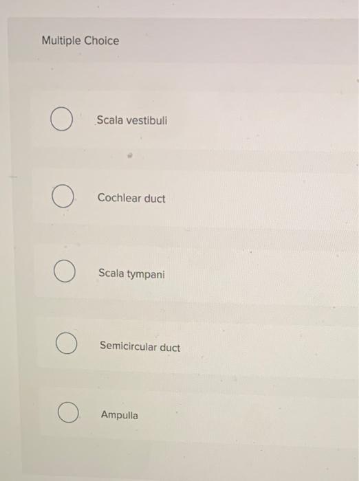 Solved 1 2 3 Name the cochlear chamber labeled 2. Multiple | Chegg.com