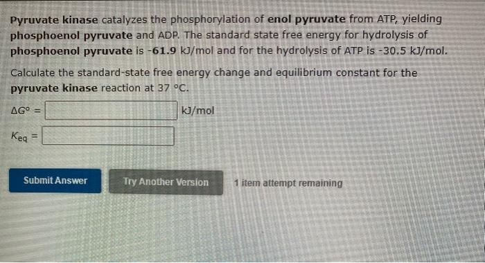 Solved Pyruvate kinase catalyzes the phosphorylation of enol | Chegg.com