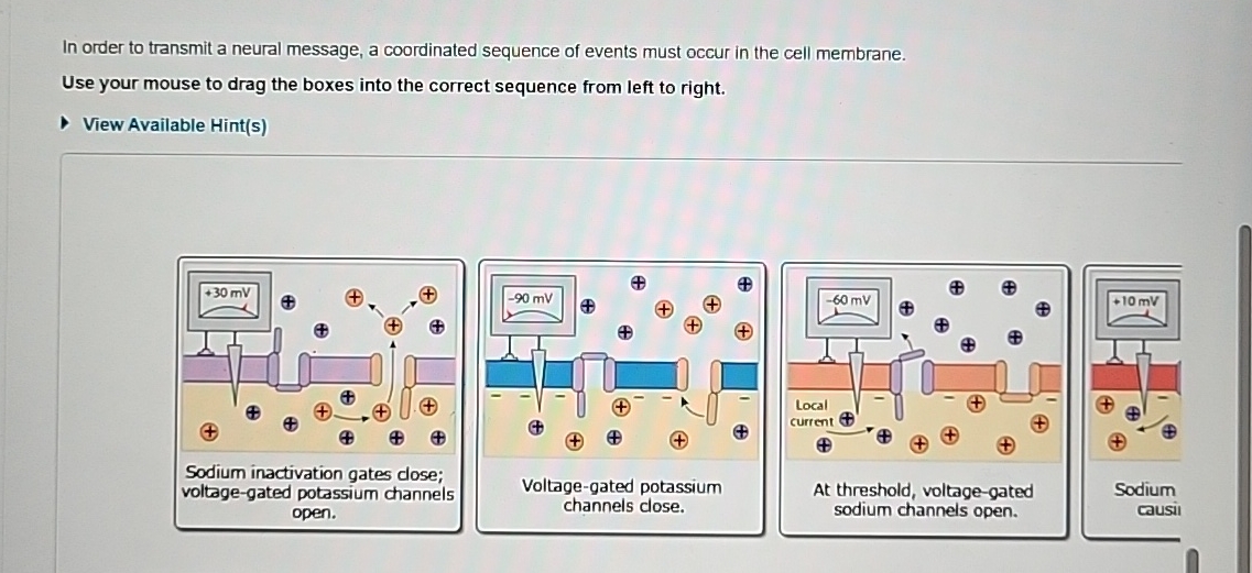 In order to transmit a neural message, a coordinated | Chegg.com