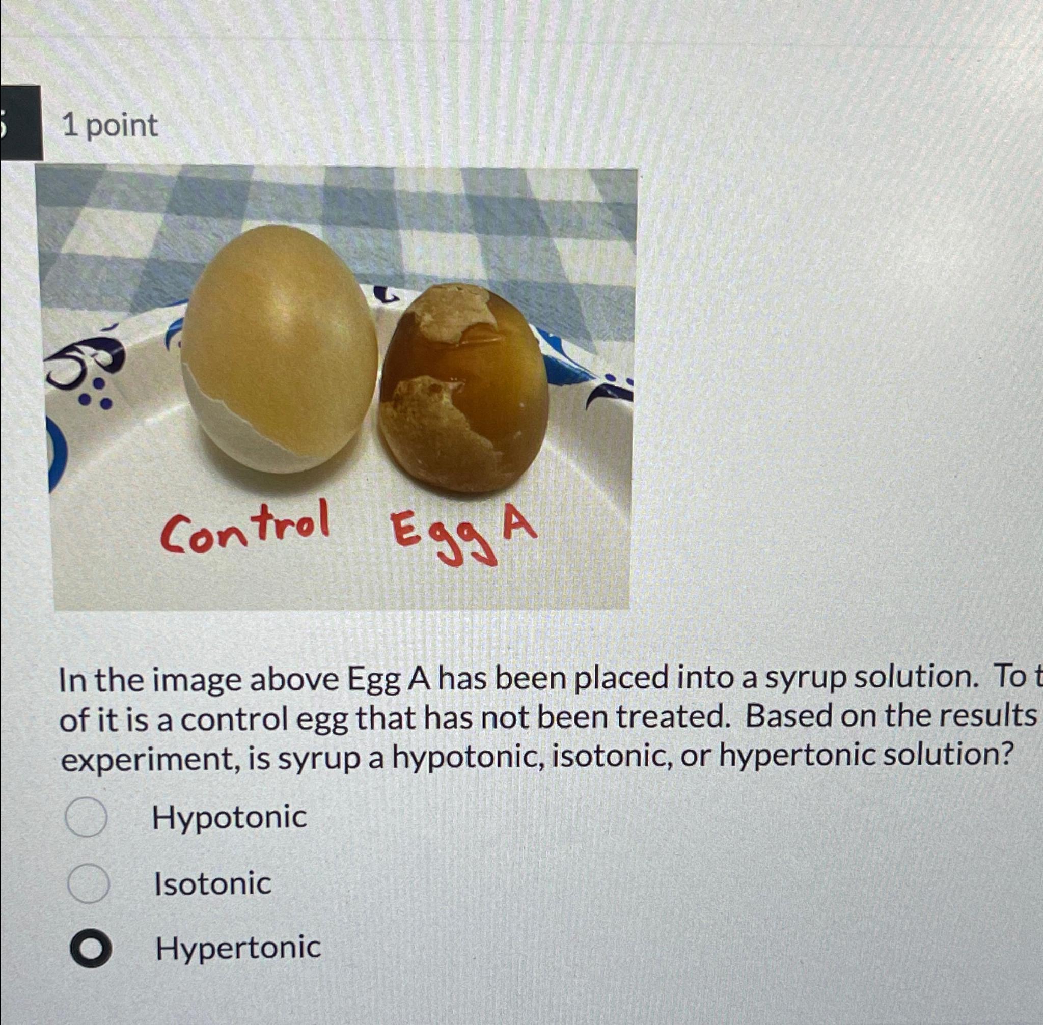 Solved 1 ﻿pointIn the image above Egg A has been placed into | Chegg.com