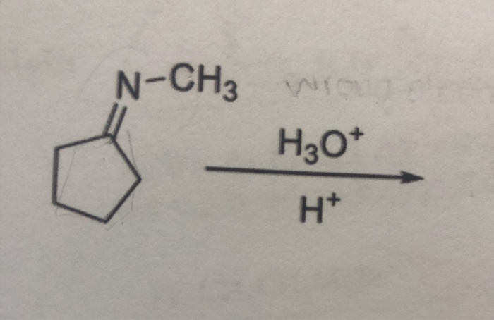 Solved N-CH3 Но+ H+ | Chegg.com