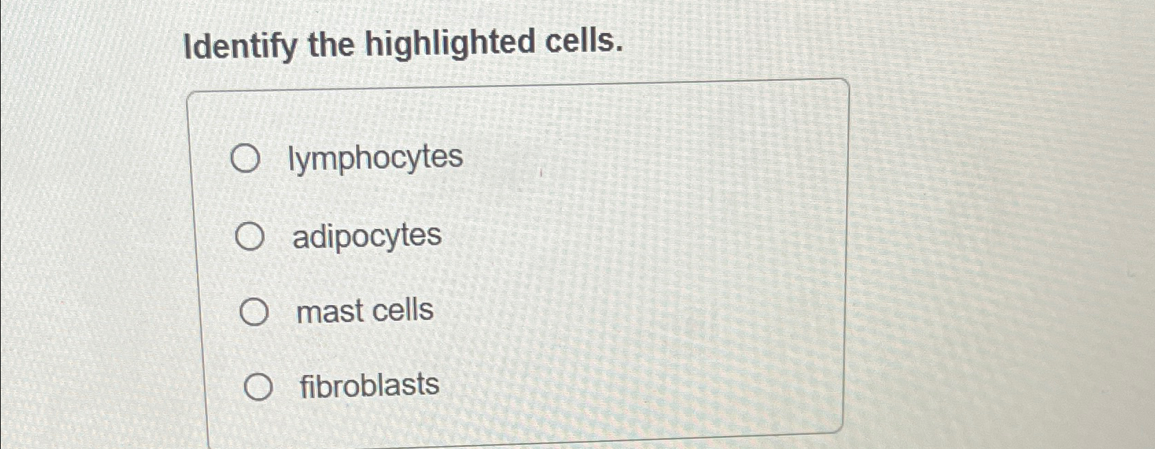 Solved Identify the highlighted | Chegg.com