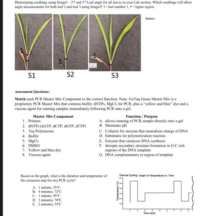 Solved Phenotyping seedlings using ImageJ −2all and 3nd | Chegg.com