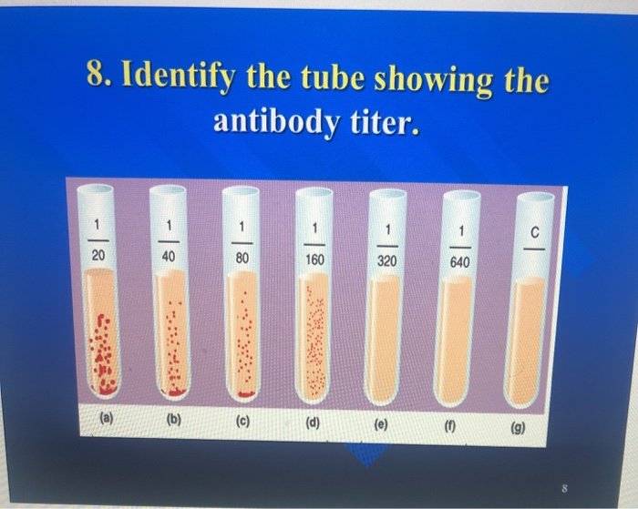 8. Identify the tube showing the antibody titer. с 20 | Chegg.com